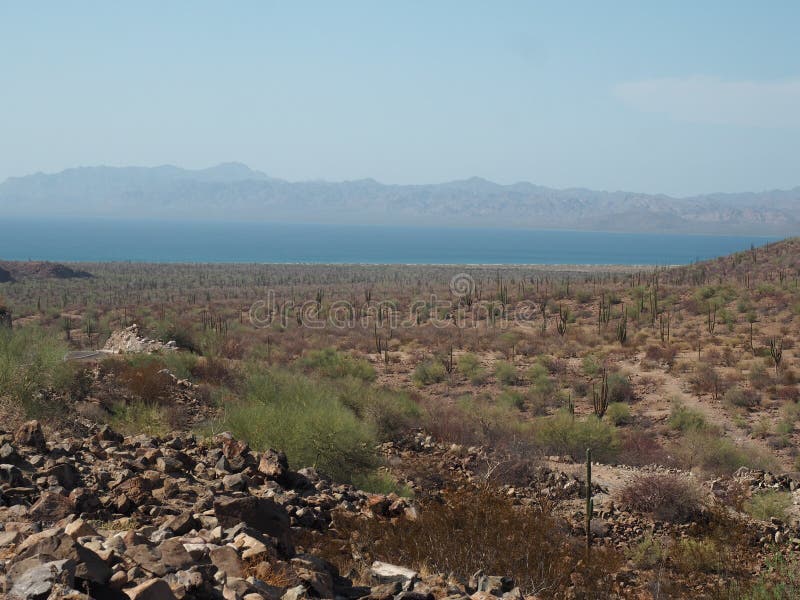 High Angle Shot of an Empty Dessert on a Sunny Day Stock Photo - Image ...