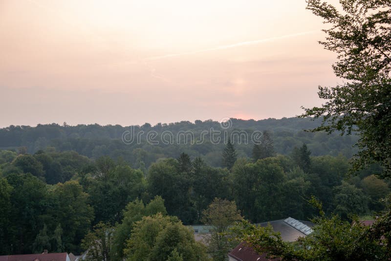 High Angle Shot of the Forest Stock Photo - Image of woods, landscape ...