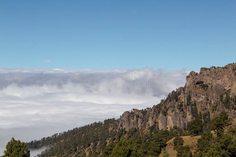 High Angle Shot of Forest on Hills Covered with Clouds Stock Photo ...