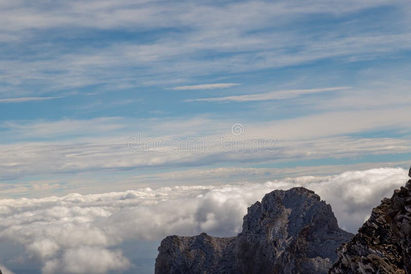 High Angle Shot of Forest on Hills Covered with Clouds Stock Image ...