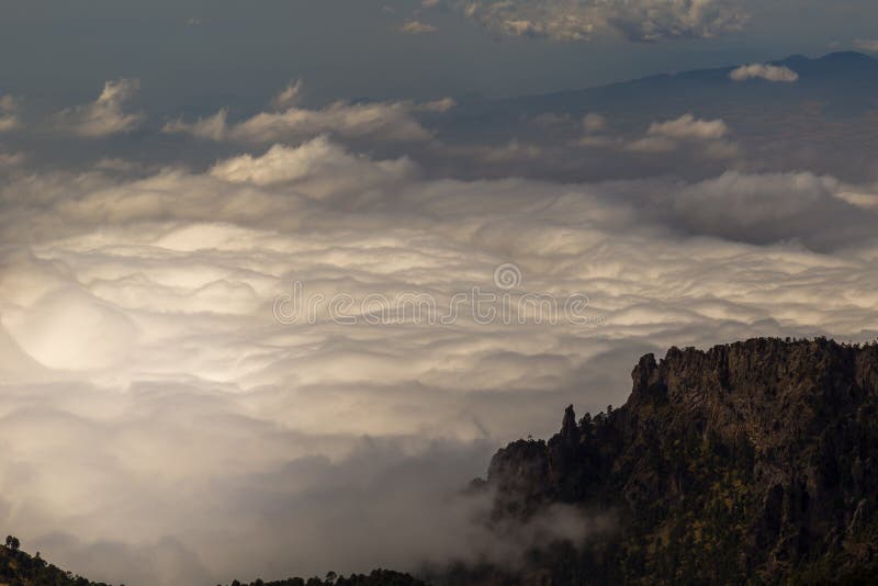 High Angle Shot of Forest on Hills Covered with Clouds Stock Image ...