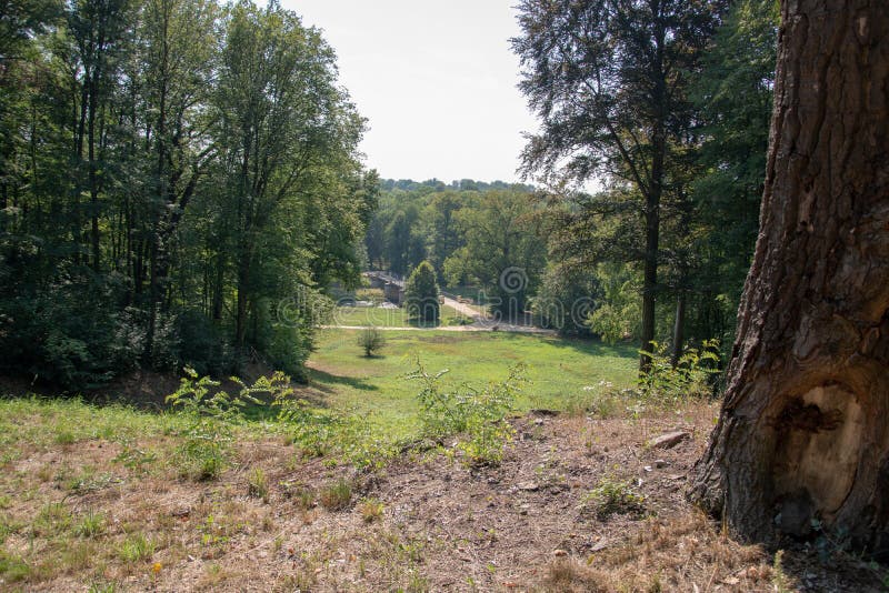 High Angle Shot of a Forest Landscape Under the Sunlight Stock Image ...