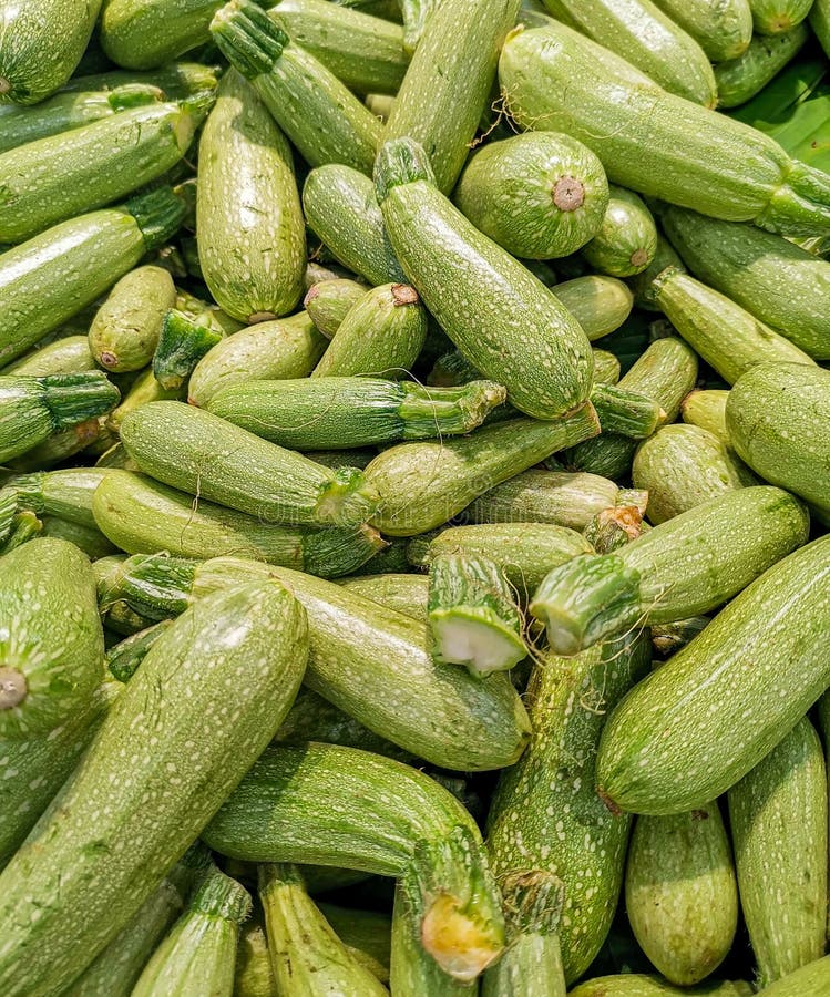 High Angle Shot of Fresh Zucchini Vegetable in the Market Stock Photo ...