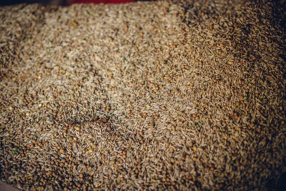 High Angle Shot of Grain Spread on the Surface Stock Image - Image of ...