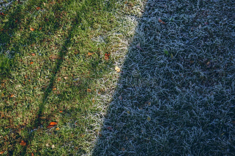 High Angle Shot of a Ground Covered with Frosted Lawn Stock Image ...