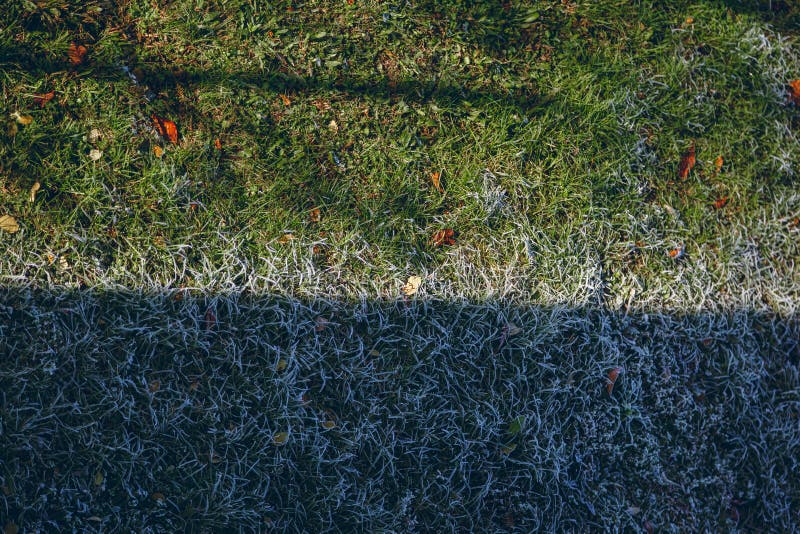 High Angle Shot of a Ground Covered with Frosted Lawn Stock Image ...