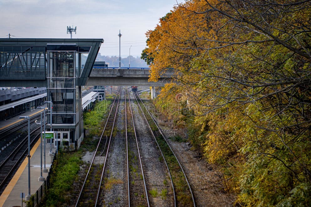 High Angle Shot of the Hamilton Railway Tracks during Fall Editorial ...