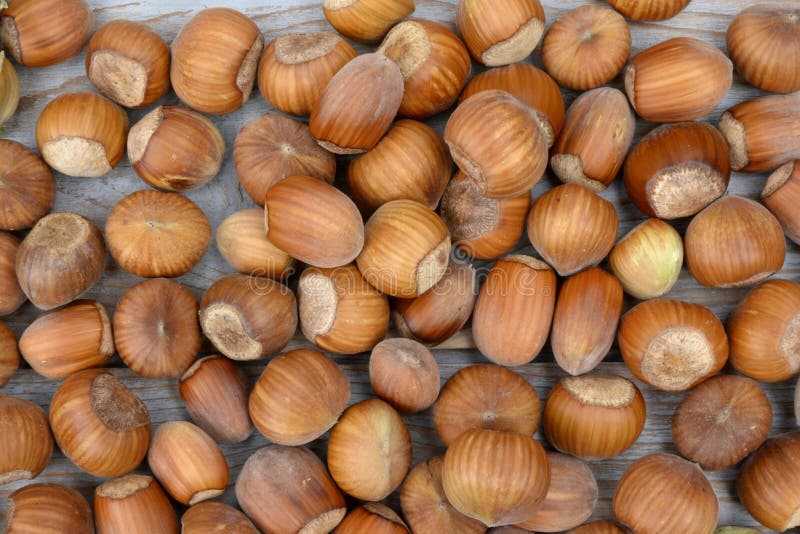 High Angle Shot of Hazelnuts Scattered on a Wooden Surface Stock Image ...