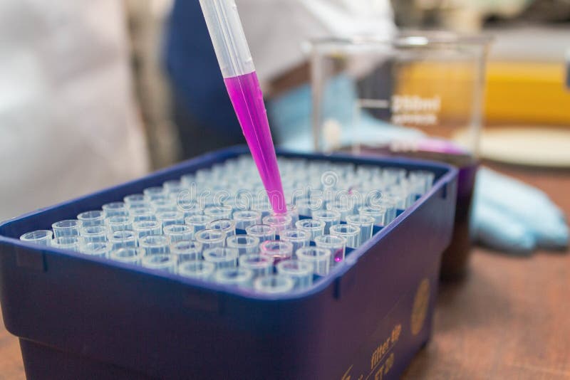 High Angle Shot of a Laboratory Assistant Adding Purple Liquid in Test ...
