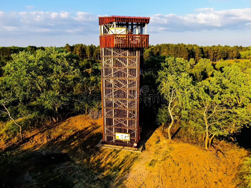 High-angle Shot of a Lookout Tower in the Middle of the Woods Stock ...