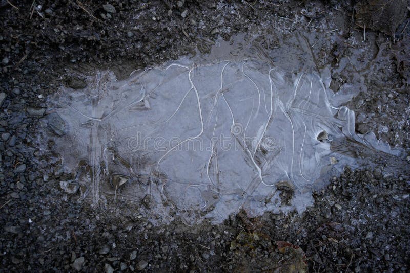 High Angle Shot of the Messy Patterns on the Muddy Groun Stock Image ...