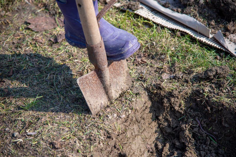 High Angle Shot of a Person Digging a Soil Using a Shovel during ...