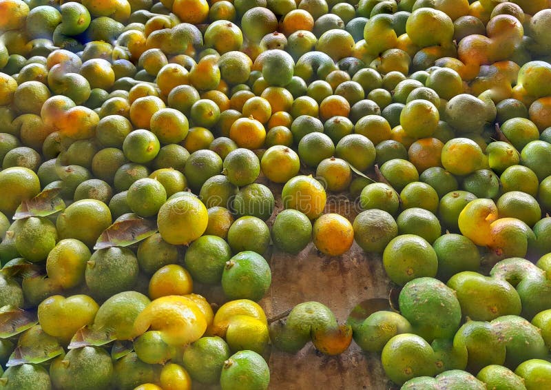 High Angle Shot of a Pile of Orange Fruit at the Market Stock Photo ...