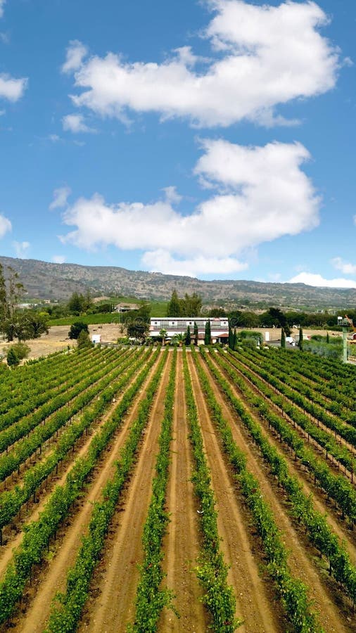 High Angle Shot of Plantations of a Farm in the Countryside Stock Image ...