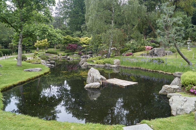 Reflective pond stock photo. Image of blue, fish, northern - 46697124