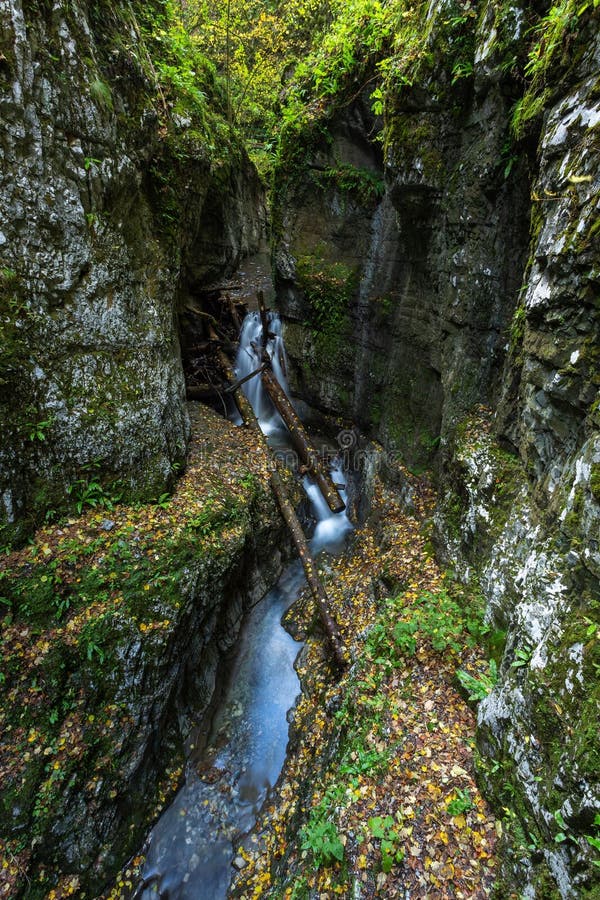 High-angle Shot of a River Flowing between Mossy Cliffs. Stock Image ...