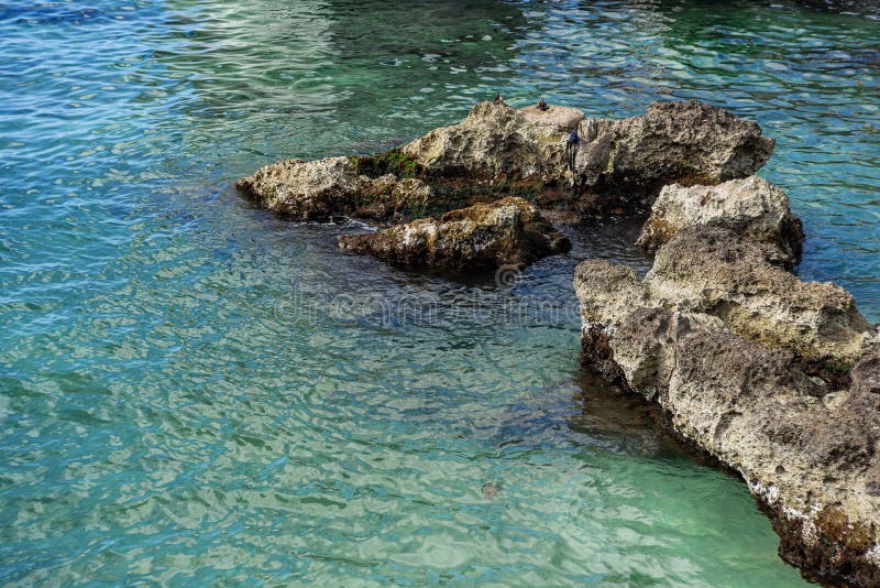 High Angle Shot of Rock Formations at the Ocean Shore Stock Photo ...