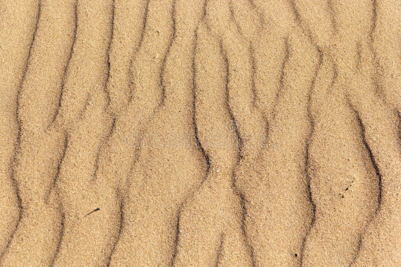 High Angle Shot of a Rough Golden Beach Sand Texture Stock Photo ...