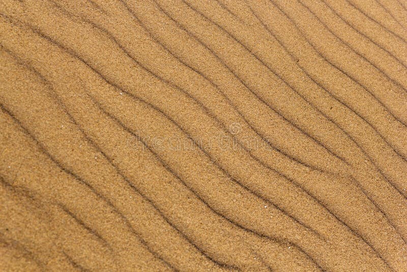 High Angle Shot of a Rough Golden Beach Sand Texture Stock Image ...