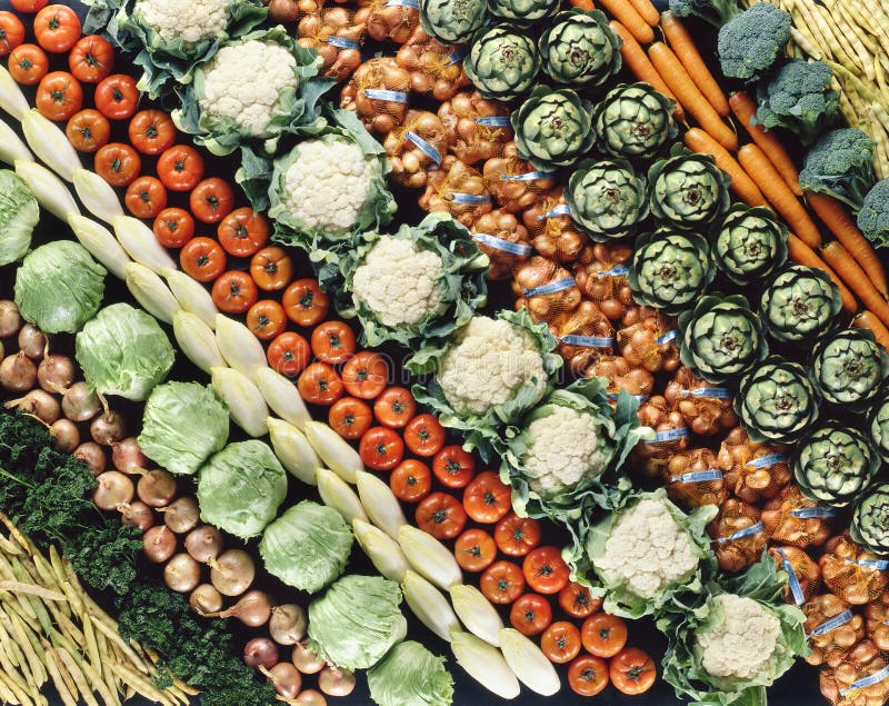 High-angle Shot of Rows of Vegetables Stock Photo - Image of vegetable ...