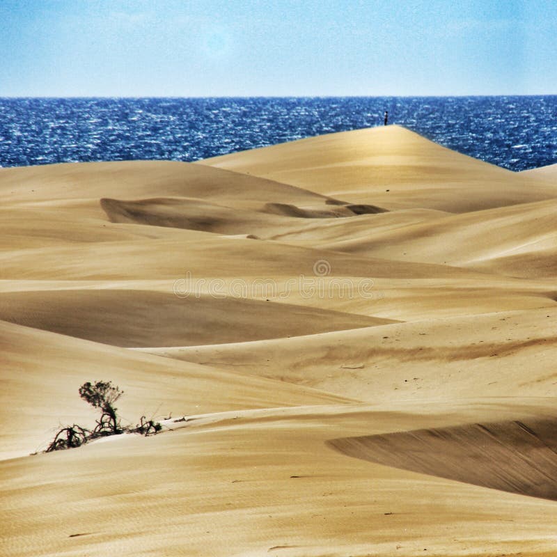 High Angle Shot of the Sands in a Desert and the Ocean in the ...