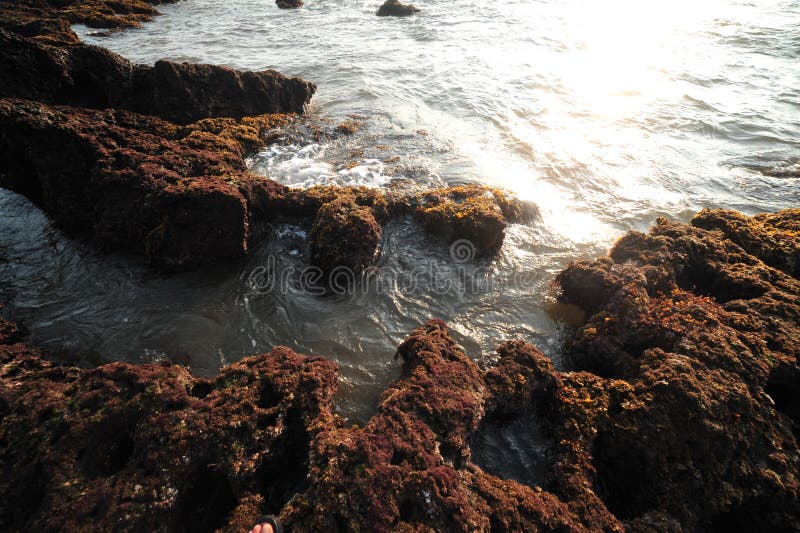 High Angle Shot of the Sea Coast Stock Image - Image of coast ...