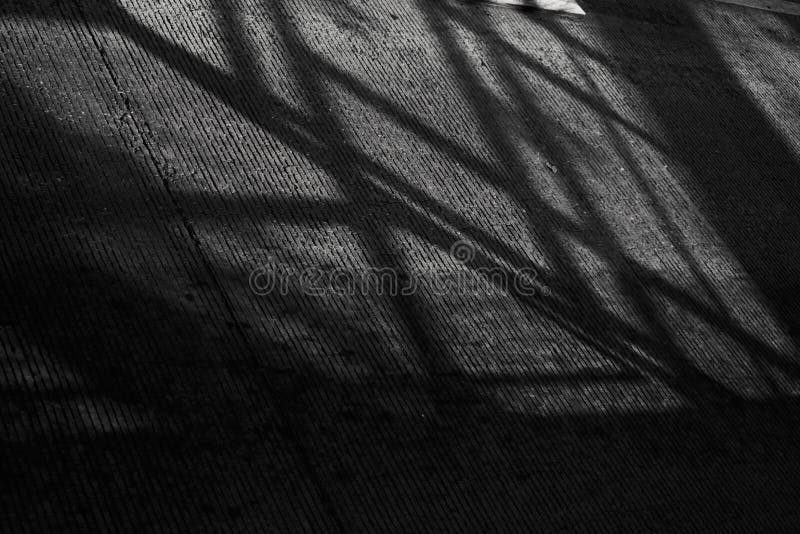 High Angle Shot of Shadow Lines on Asphalt Ground in Grayscale Stock ...
