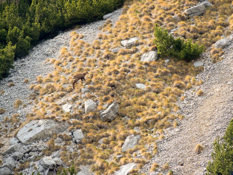 Land on the Slope of a Hill Stock Image - Image of country, terrain ...