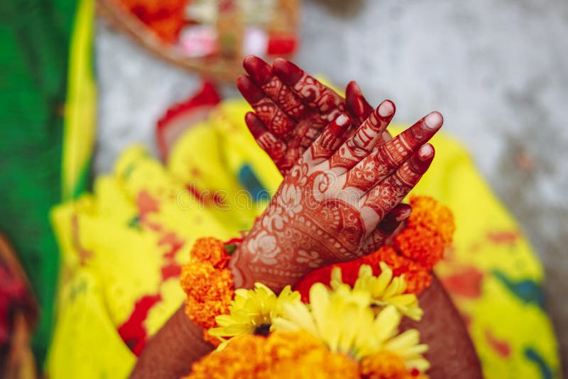 Haldi Stock Illustrations – 26 Haldi Stock Illustrations, Vectors ...