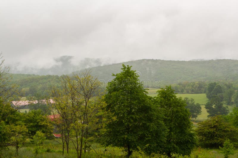 High Angle Shot of Trees and Hills Stock Photo - Image of view, nature ...