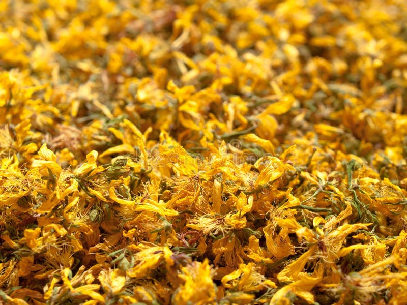 High-angle Shot of Vibrant Hypericum Perforatum Dried for Tea Under the ...