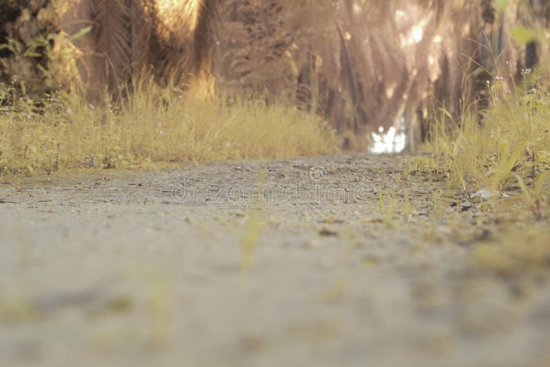 The High Angle Shot View from the Ground Looking Up Towards the ...