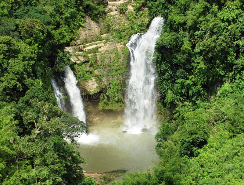 High Angle Shot of Waterfalls Flowing Down the Rocks Covered with ...