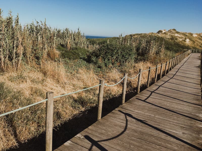 High Angle Shot of a Wooden Road in a Deserted Area Stock Image - Image ...