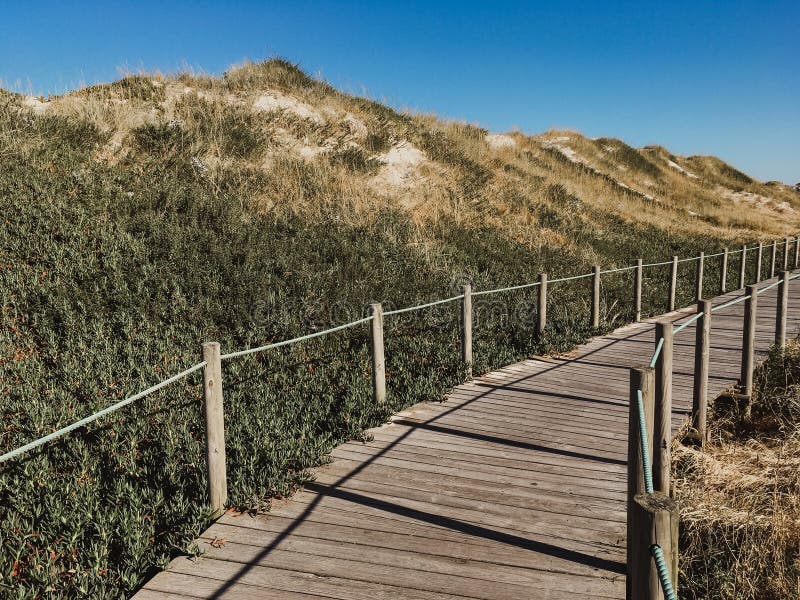 High Angle Shot of a Wooden Road in a Deserted Area Stock Image - Image ...