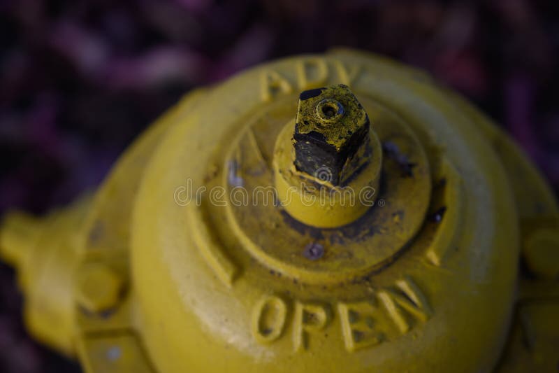 High Angle Shot of a Yellow Fire Hydrant Outside with the Word "open ...