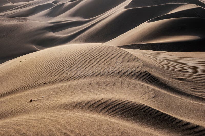 High-angle of Sunlit Sand Dunes in the Empty Quarter Stock Photo ...
