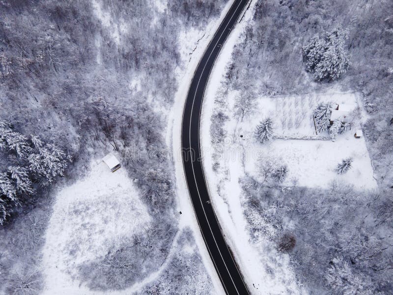 High Angle Top Down Aerial View Drone Image on Road Trough the Trees ...