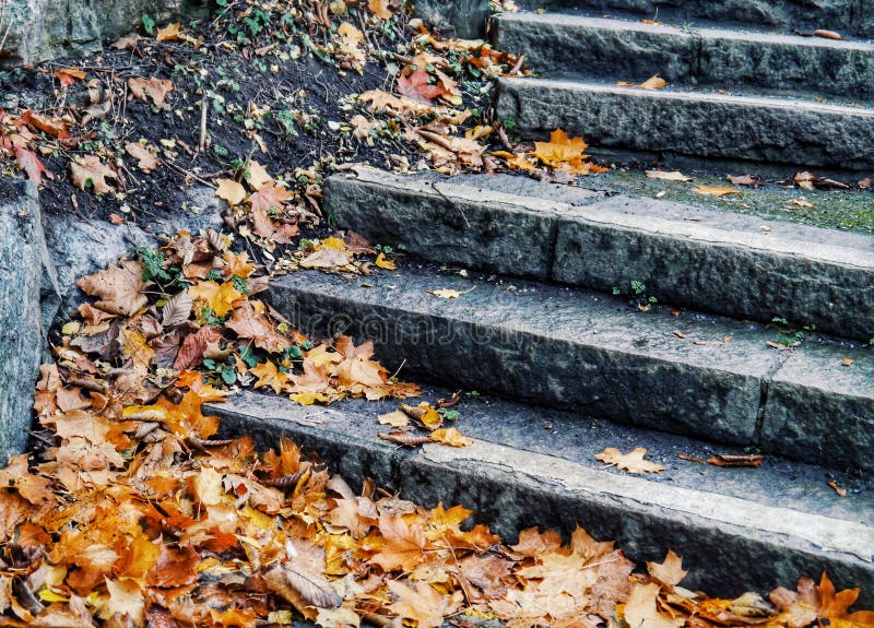 High Angle View of Autumn Leaves on Steps Stock Photo - Image of ground ...