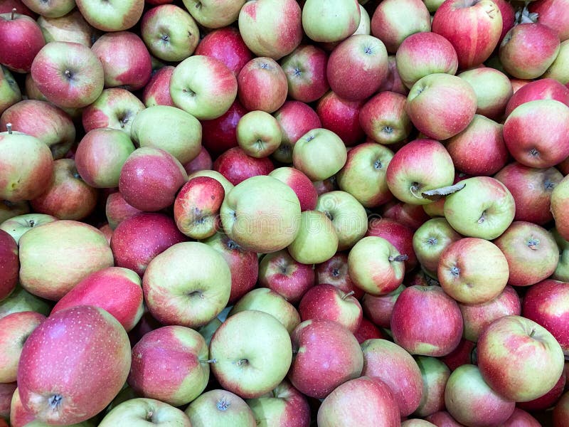 Wellant Apples Stock Photos - Free & Royalty-Free Stock Photos from ...