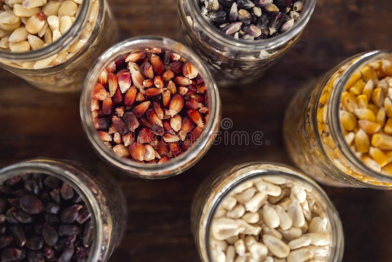 High Angle View of Different Types of Corn Kernels in Jars on a Wooden ...