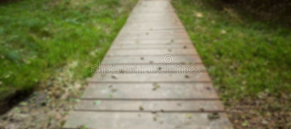 High Angle View of Empty Walkway at Park Stock Image - Image of ...