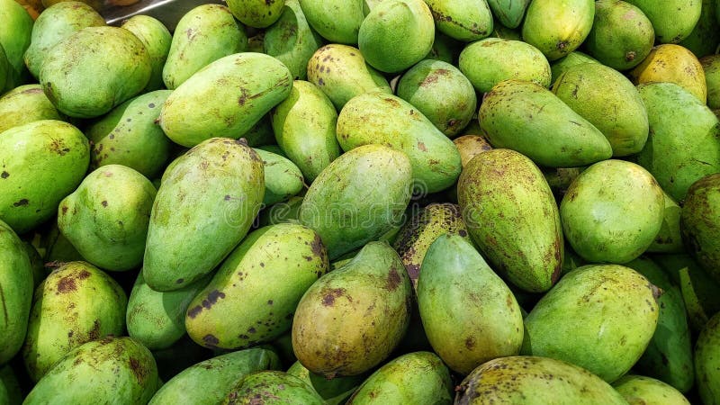 High Angle View Fresh Green Mangoes at a Fruit Stand Stock Image ...