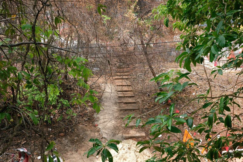 High Angle View Graveyard Entrance Way in the Forest Stock Image ...