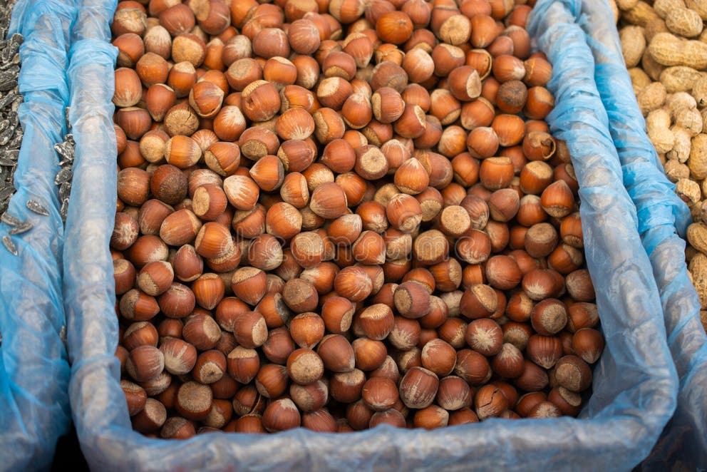 High Angle View of Hazelnuts in a Container Under the Lights Stock ...