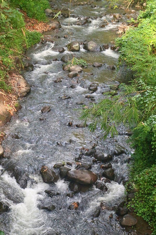 High Angle View of Heavy Water from River Flow Stock Image - Image of ...