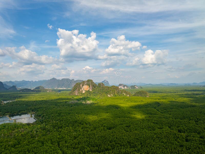 High Angle View Mountains Rainforest Trees Nature Background Stock ...