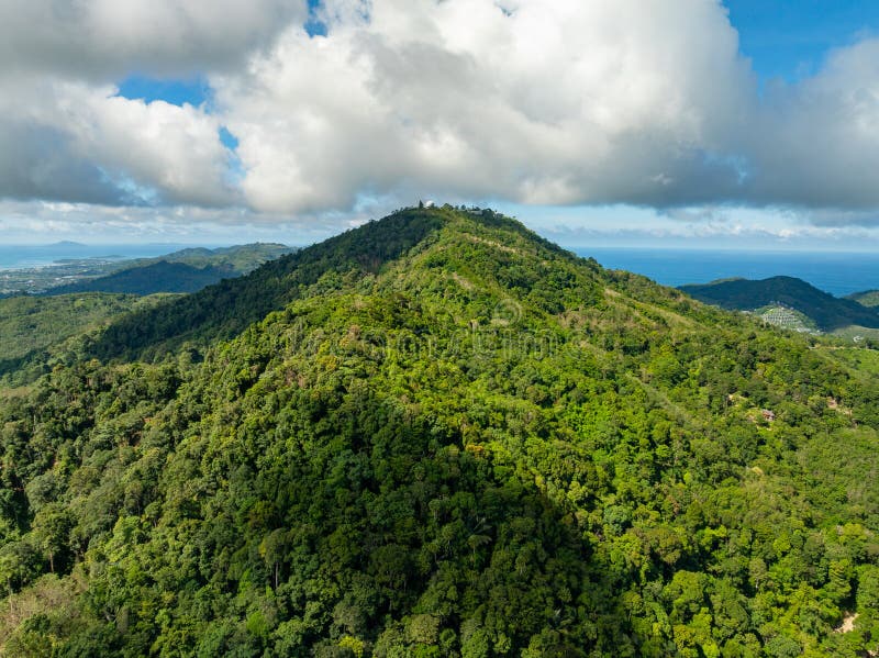 High Angle View Mountains Rainforest Trees Nature Background Stock ...