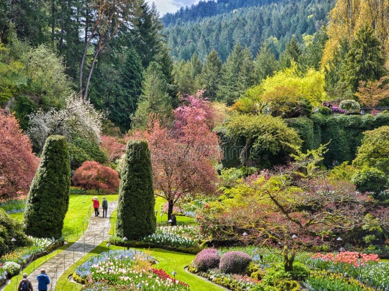High-angle View of People Walking on the Pathway of a Beautiful ...