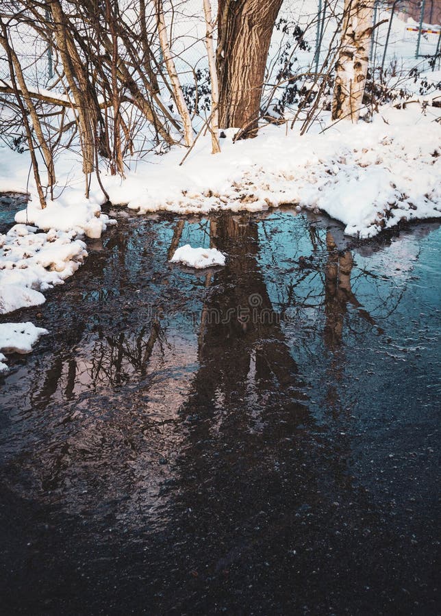 High Angle View of a Puddle during the Winter Stock Image - Image of ...